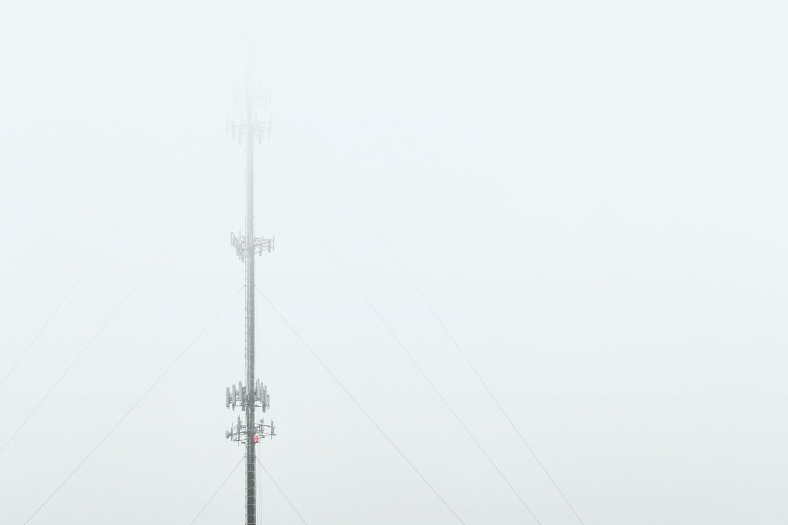 Case Examples - Veracity Worldwide