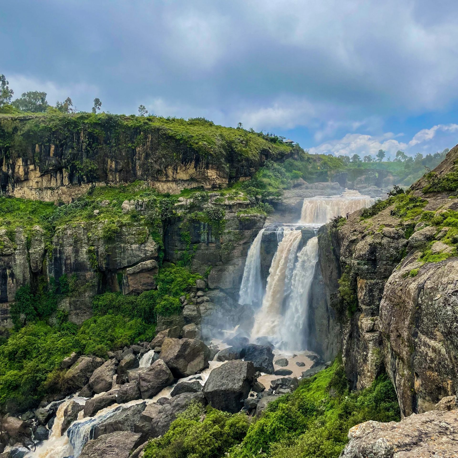 News & Insights - Veracity Worldwide